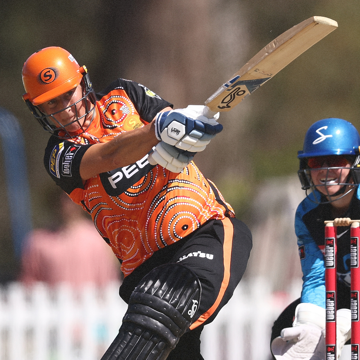 Devine headlines WBBL Overseas Player Draft Nominations | Perth Scorchers
